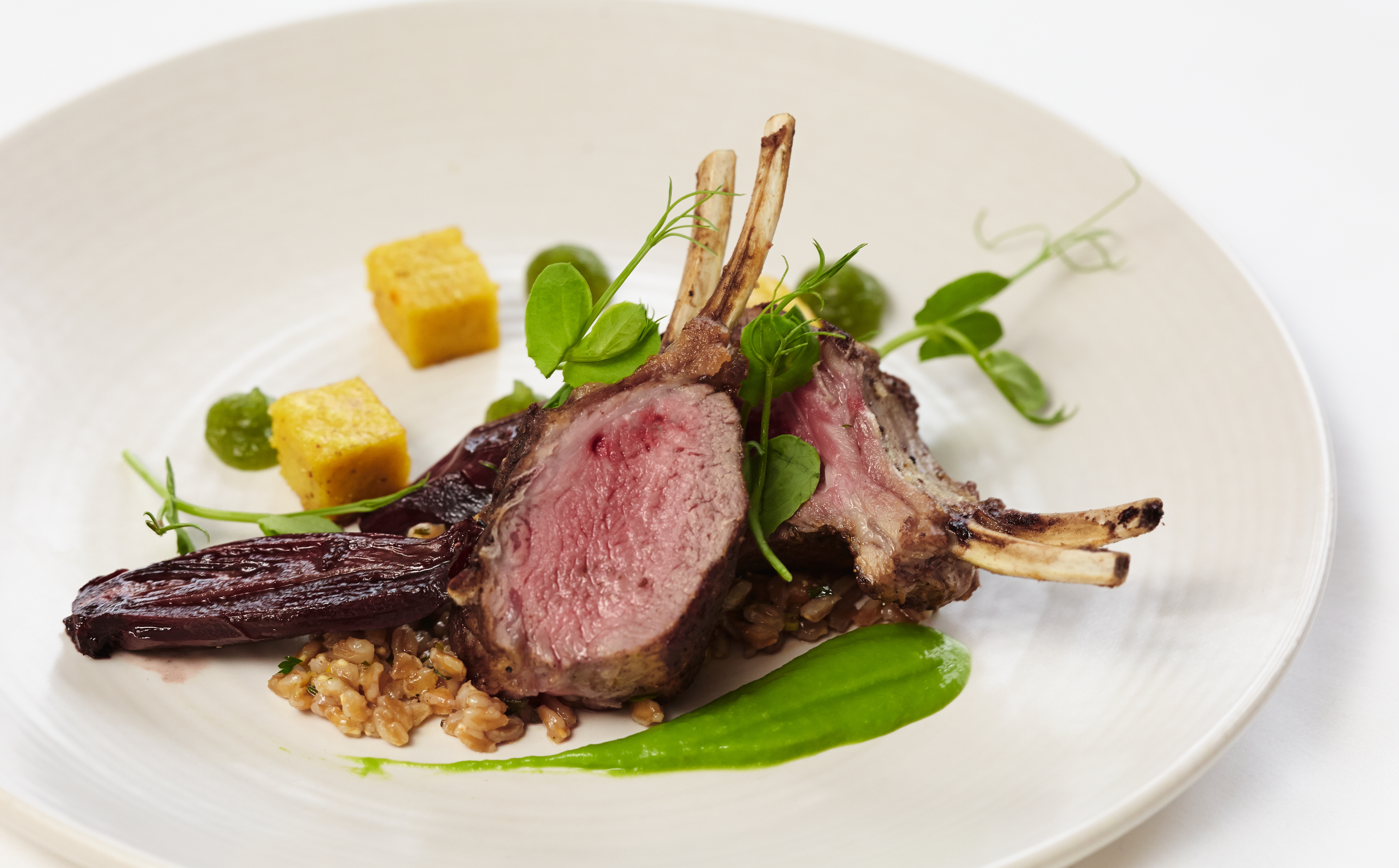 August Newsletter - One Tree Grill